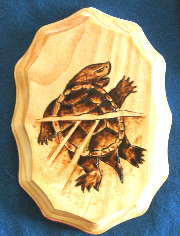 3 Oneida clans and the Overseer Wolf Bear Eagle Turtle 4 pieces Native ...