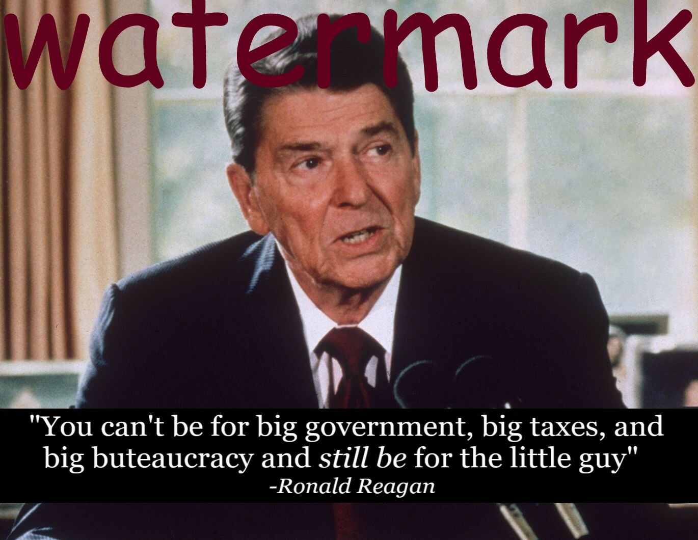 Ronald Reagan Quotes About Government
