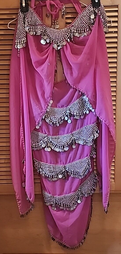 2PC Pink & Silver Beaded Coins Embroidered Western Belly Dance Costume ...