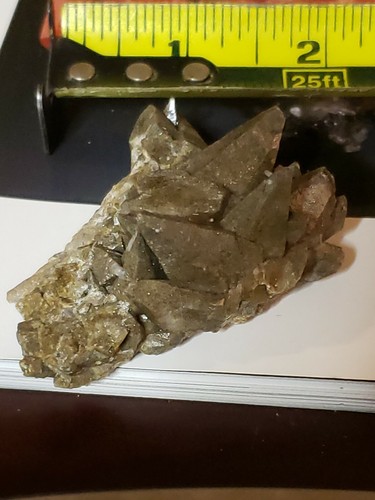 Chocolate Dogtooth Raven Wing Calcite Cluster Santa Eulalia Chihuahua ...