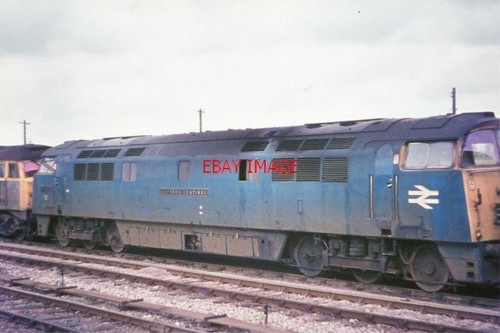 PHOTO CLASS 52 WESTERN EXPLORER D1002 AT WESTBURY 12TH MAY 1974 | eBay
