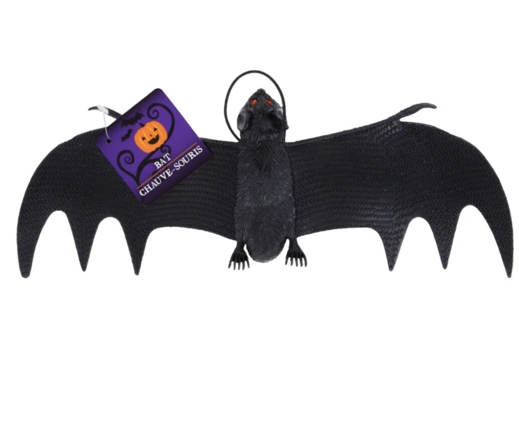 Vampire Bat Hanging