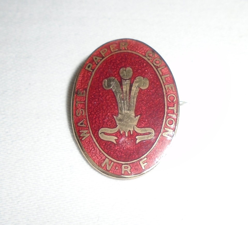 Prince of Wales WW1 National Relief Fund Waste Paper Collection Pin ...