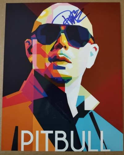 PITBULL MR. WORLDWIDE MR. 305 LATINO ICON SIGNED CUSTOM ART 8X10 PHOTO ...