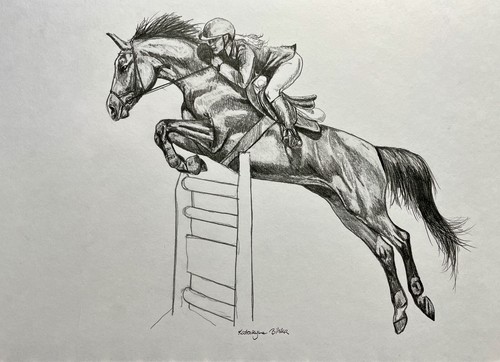Original Drawing Art Pencil sketch horse riding show jumping power 8 ...