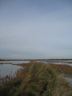 Photo 6x4 Footpath along the banks of the River Alde Iken Breaches in ...