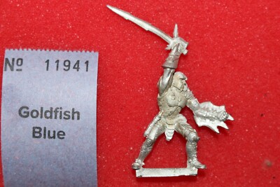 WOTC D&D Regdar Human Fighter Wizards of the Coast Advanced Dungeons ...