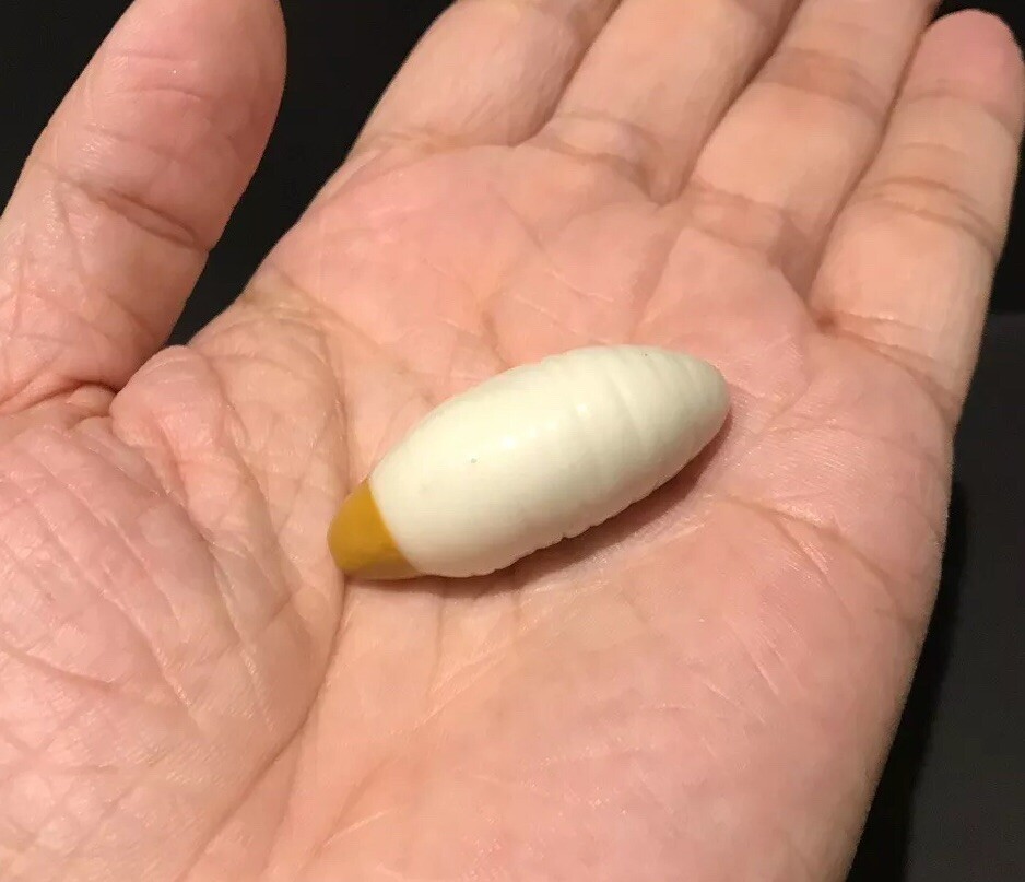 Japanese Exclusive (Like Kaiyodo ) Asian Giant Wasp Bee Larva Figure | eBay