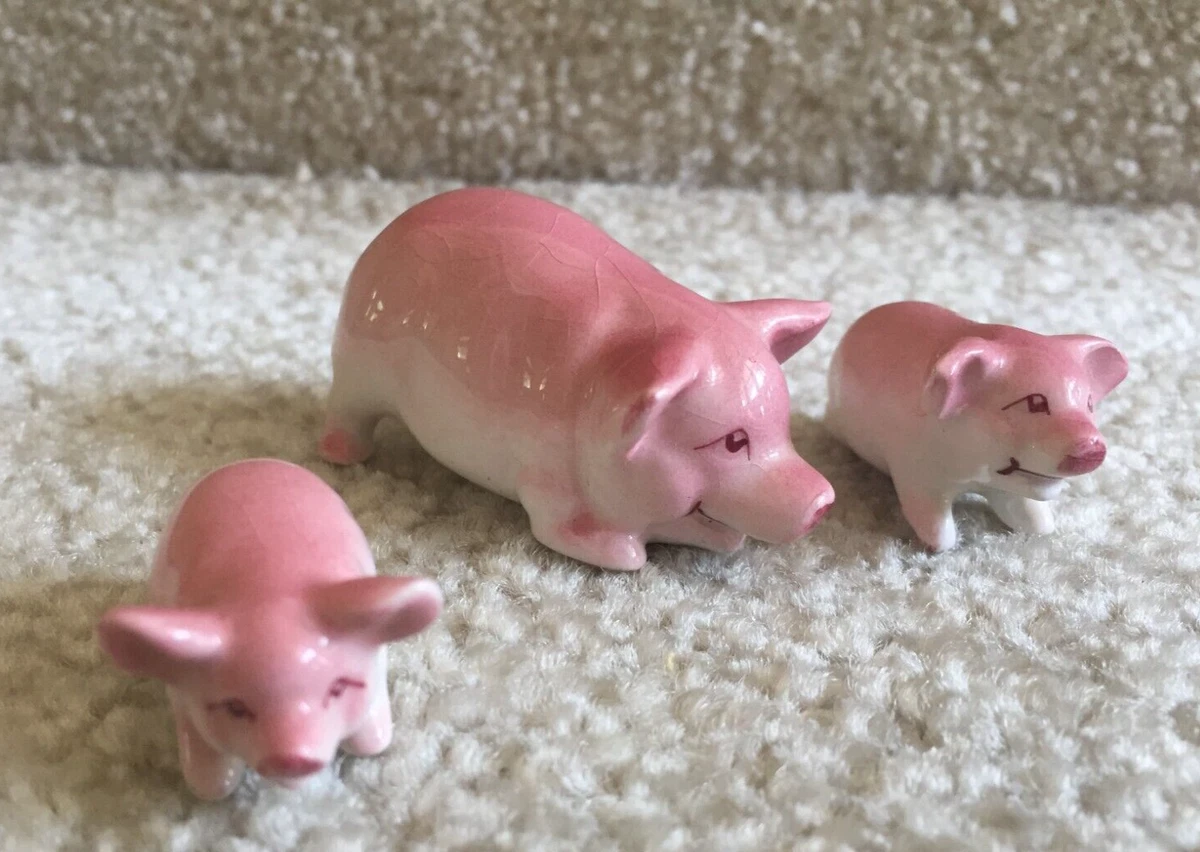 Pink Micro Pigs