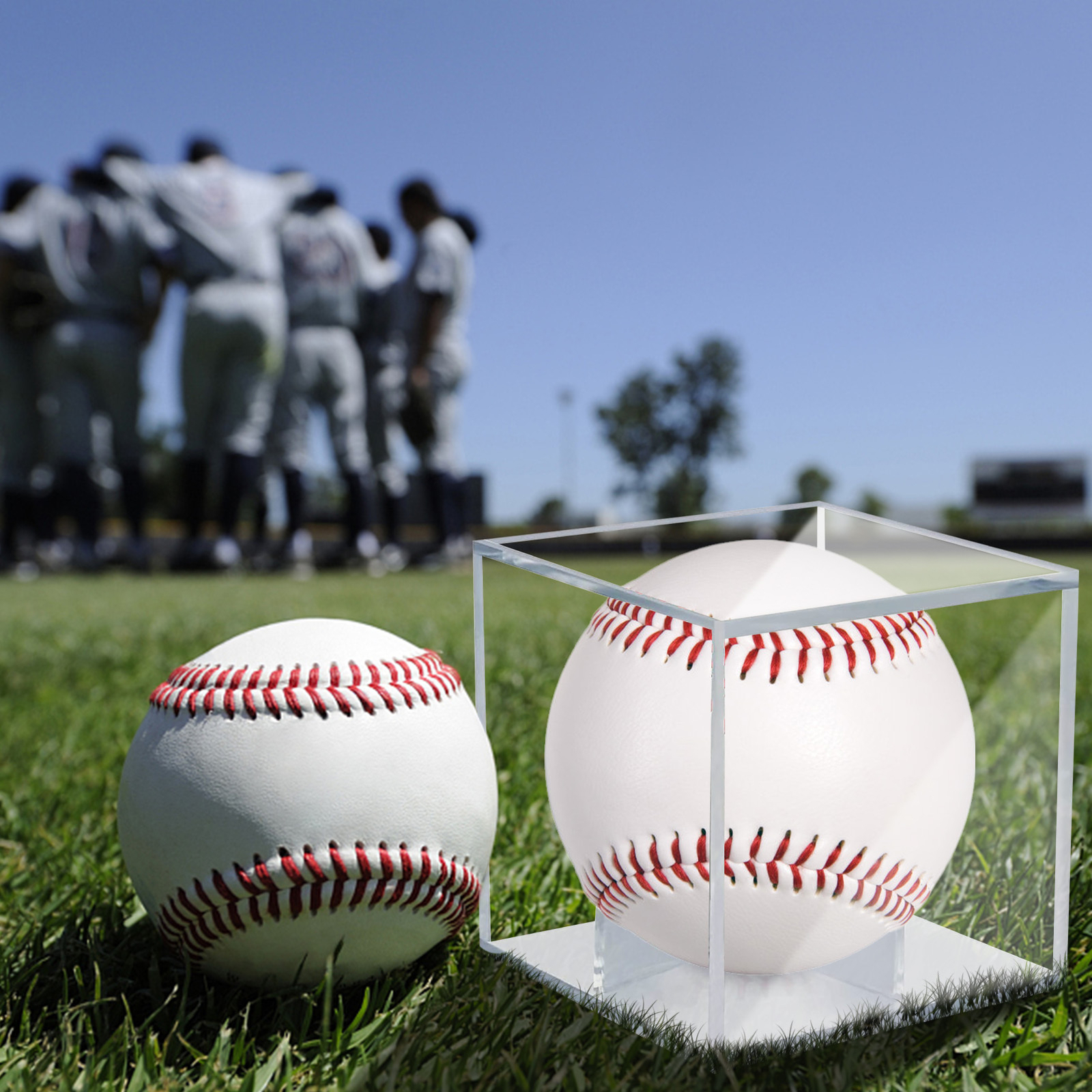 Clear Baseball Display Cube Case Baseball Storage Rack UV Protected ...