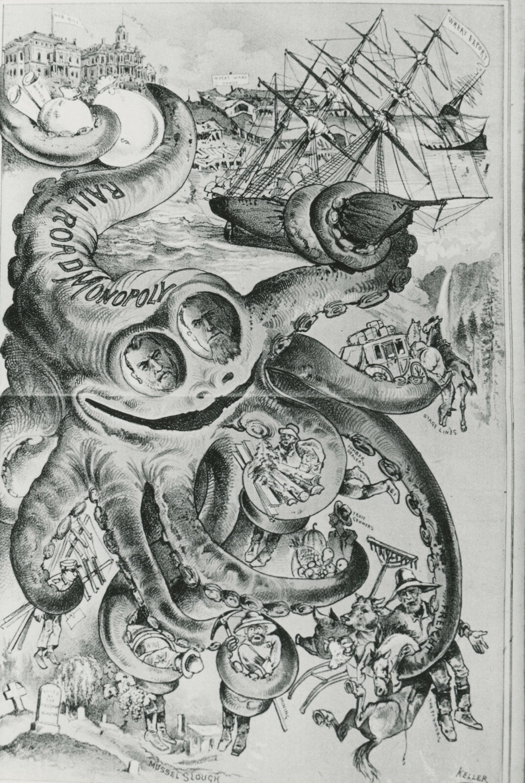 Monopoly Octopus Cartoon