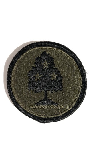 Tennessee National Guard Subdued U.S. Army Shoulder Patch Insignia | eBay