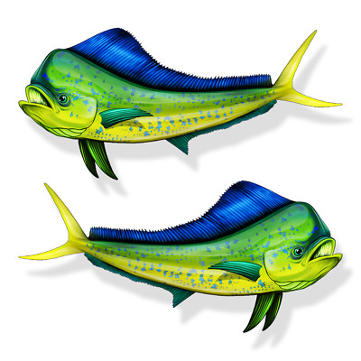 Pair Mahi Fish Sticker Dolphin Laptop Fishing Car Vehicle Window Bumper ...