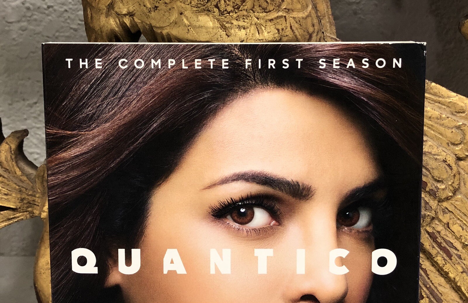 Quantico: The Complete First Season (DVD, 2016, 5-Disc Set ...