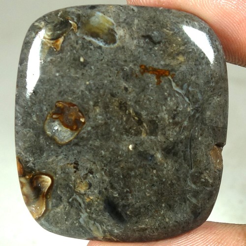 60.95Cts 100% Natural Fossil Colus Agate Cushion Cab Loose Gemstone ...