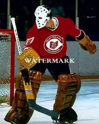 NHL Goalie Gary Edwards Cleveland Barons Color 8 X 10 Photo Picture | eBay