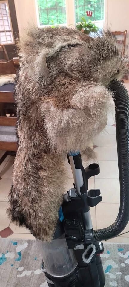 Coyote Fur Hat USA Faced Mountain Man Trapper Lined Genuine Pelt made ...