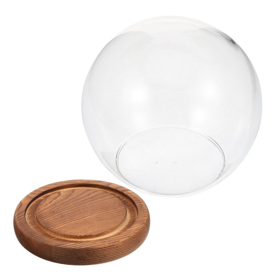 Glass Dome With Base For Mini Landscape Vase And Preserved Flower ...