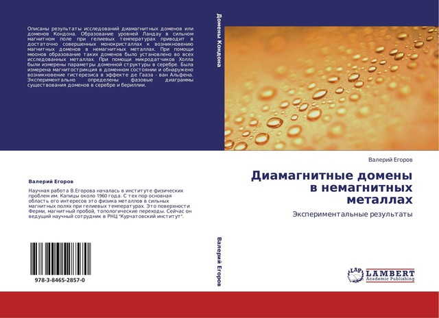 Diamagnitnye Domeny W Nemagnitnyh Metallah von Valerij Egorow (2011 ...