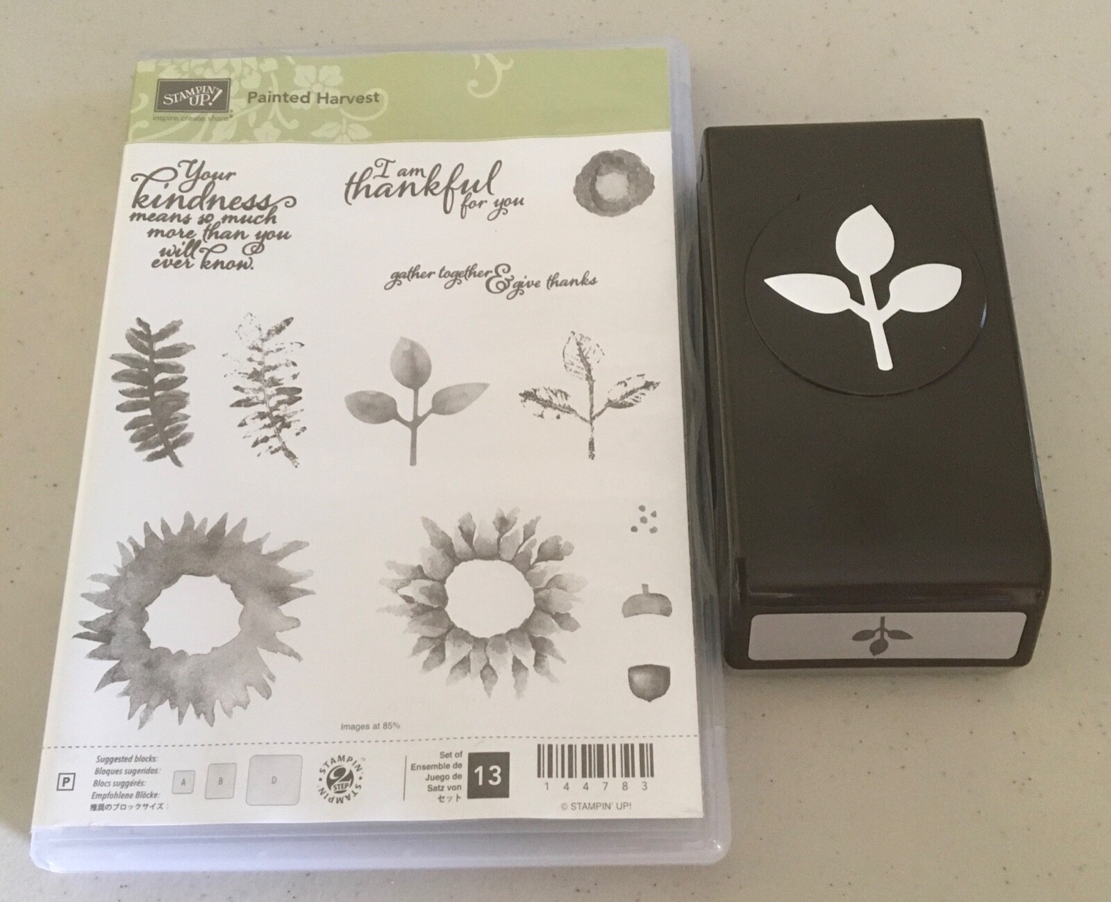 Stampin’Up! RETIRED STAMPS and COORDINATING PUNCHES, Great Selection ...