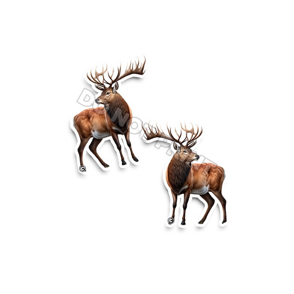 Stag Vinyl Stickers NATURE BUCK Antlers Great Outdoors ANIMAL DECALS ...