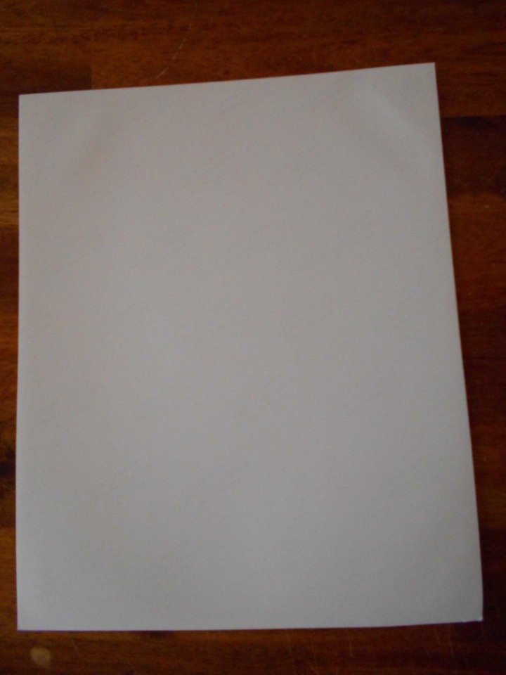 STEVE DAVIS bodybuilding muscle ORIGINAL photo | eBay