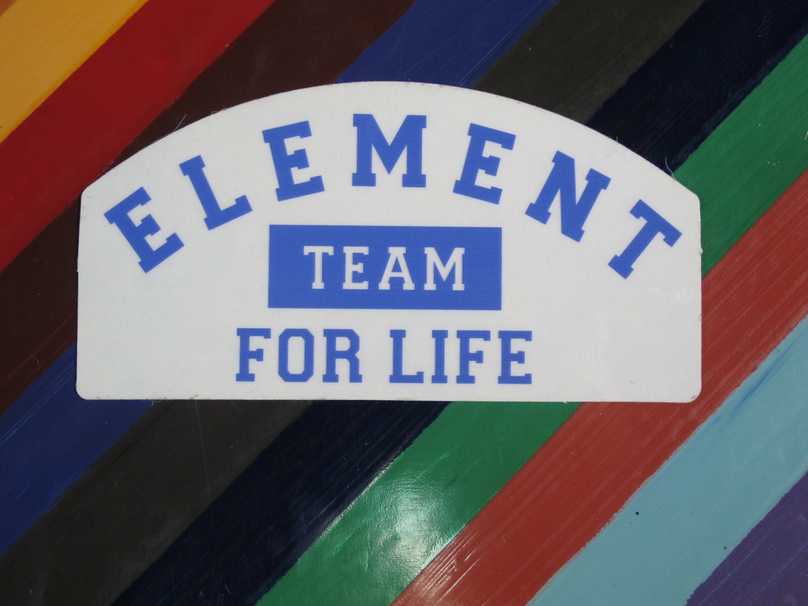 vtg 1990s 2000s Element Skateboard sticker - Andy Stone Pepper ...