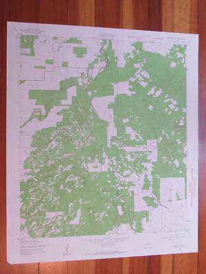 Lacoste NE Texas 1961 Original Vintage USGS Topo Map | eBay