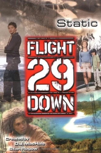 Flight 29 Down Book