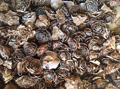 100 Cedar roses cedar rose pine cone Wood Rustic Wedding Flowers Wooden ...