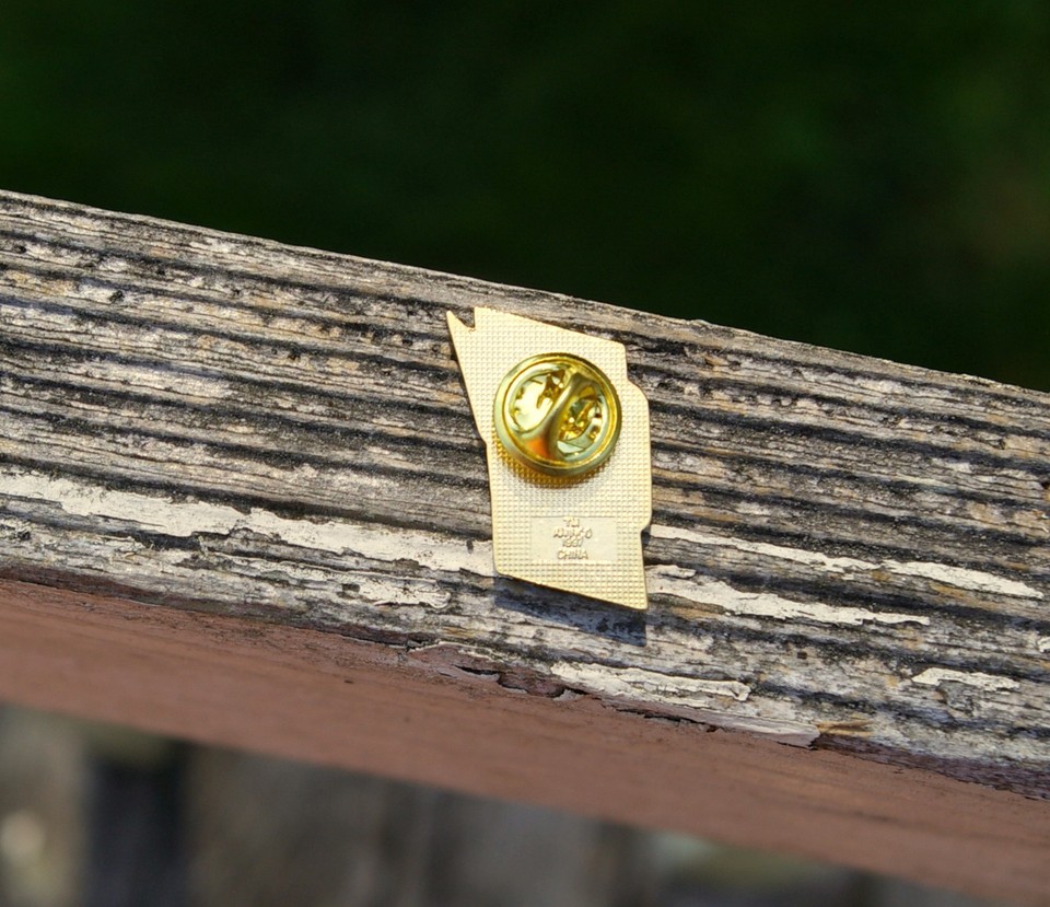 Cart Racing Flag Gold Tone Metal & Enamel Lapel Pin Pinback | eBay