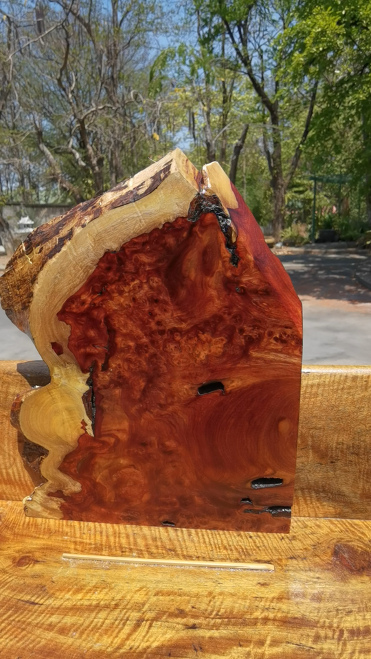 Rare! AMBOYNA BURL LUMBER Live Edge Natural Slab Wood Epoxy Resin DIY ...