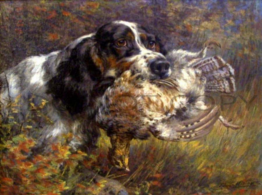 ANTIQUE REPRO OSTHAUS RUFFED GROUSE HUNTING ENGLISH SETTER 8X10 ...