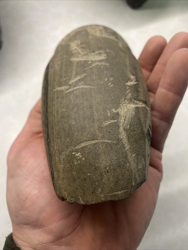 MLC s6221 Banded Slate Stone Half Grooved Adz Axe Wayne Co Illinois ...