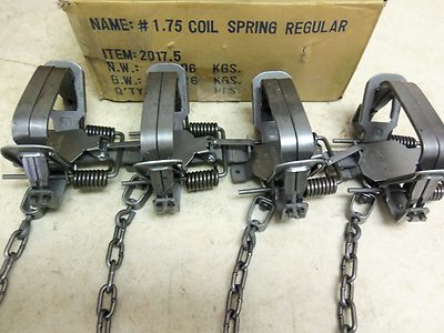 4 Bridger #1.75 Coil Spring Traps Raccoon Fox Bobcat Trapping | eBay