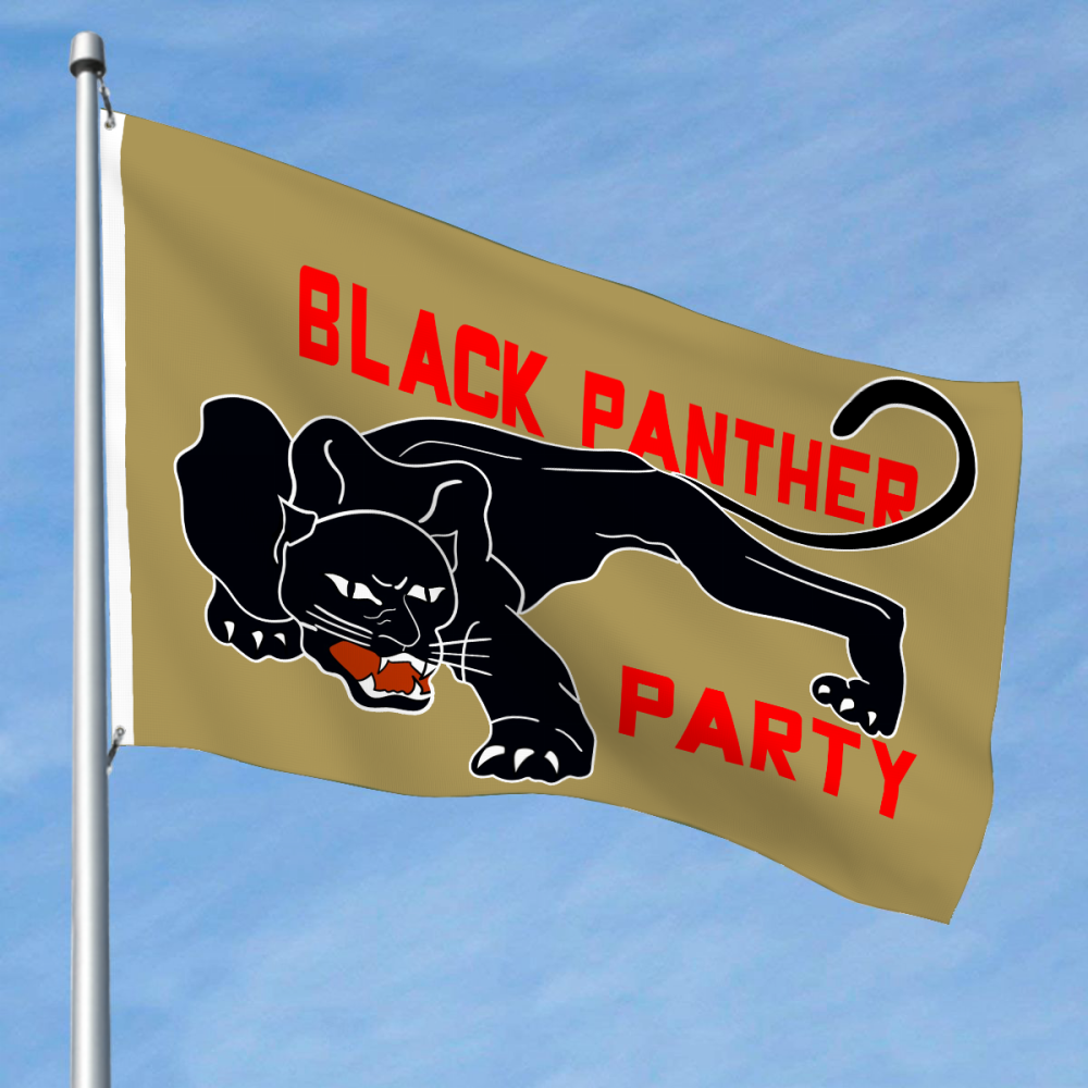 Black Panther Party Flag The Black Panther Party Flag" Kids T Shirt