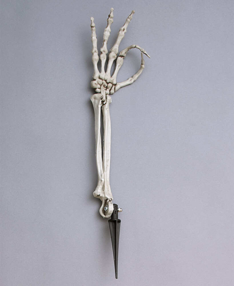 Halloween Skeleton Arm And Hand