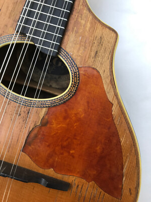 Vintage Vega Mandolin Tunnel Cylinder (Rare Rosewood back & sides) | eBay