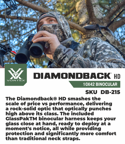 Vortex Optics Diamondback HD 10x42 Roof Prism Green Binocular DB-215 | eBay