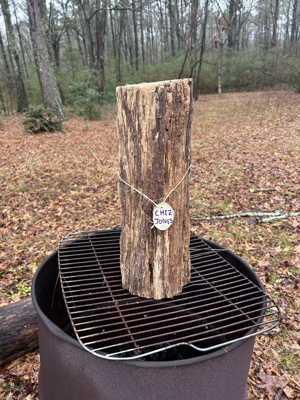 Chez Jones Solid 11 Ib Georgia Fatwood LOG 18”Long 6” Thick | eBay