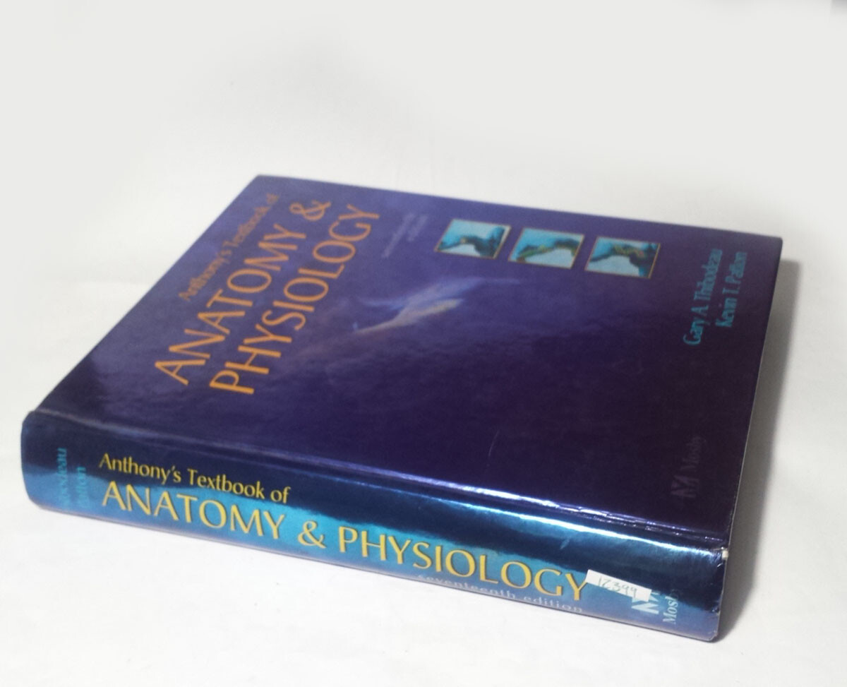 Textbook Anatomy and Physiology by Gary A. Thibodeau and Kevin T ...