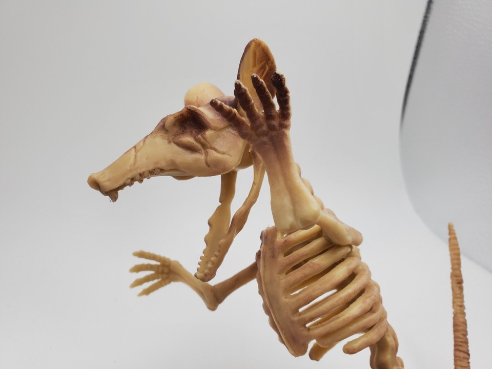 Skeleton Rat 7" Halloween Decor Adjustable Mouth Open Or Closed Life ...