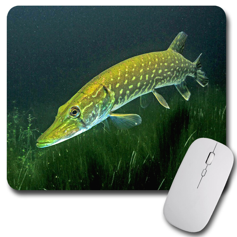 Northern Pike Fishing ~ Mousepad / PC Mouse Pad ~ Fisherman Fishing ...