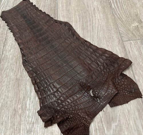 Brown Caiman Crocodile belly Hide Leather Skin real alligator remnant ...