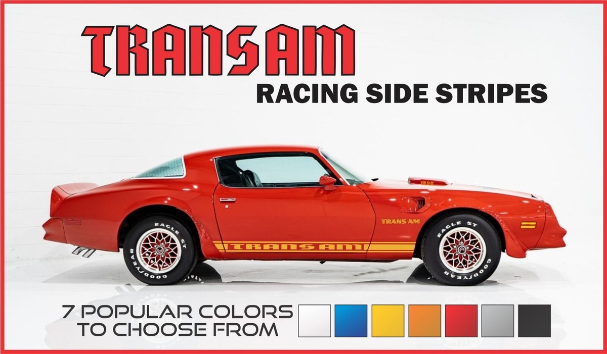 Trans Am Stripe Kit