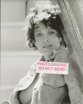 8x10 photo Phyllis Davis pretty sexy "Vegas" TV star pin-up photo | eBay