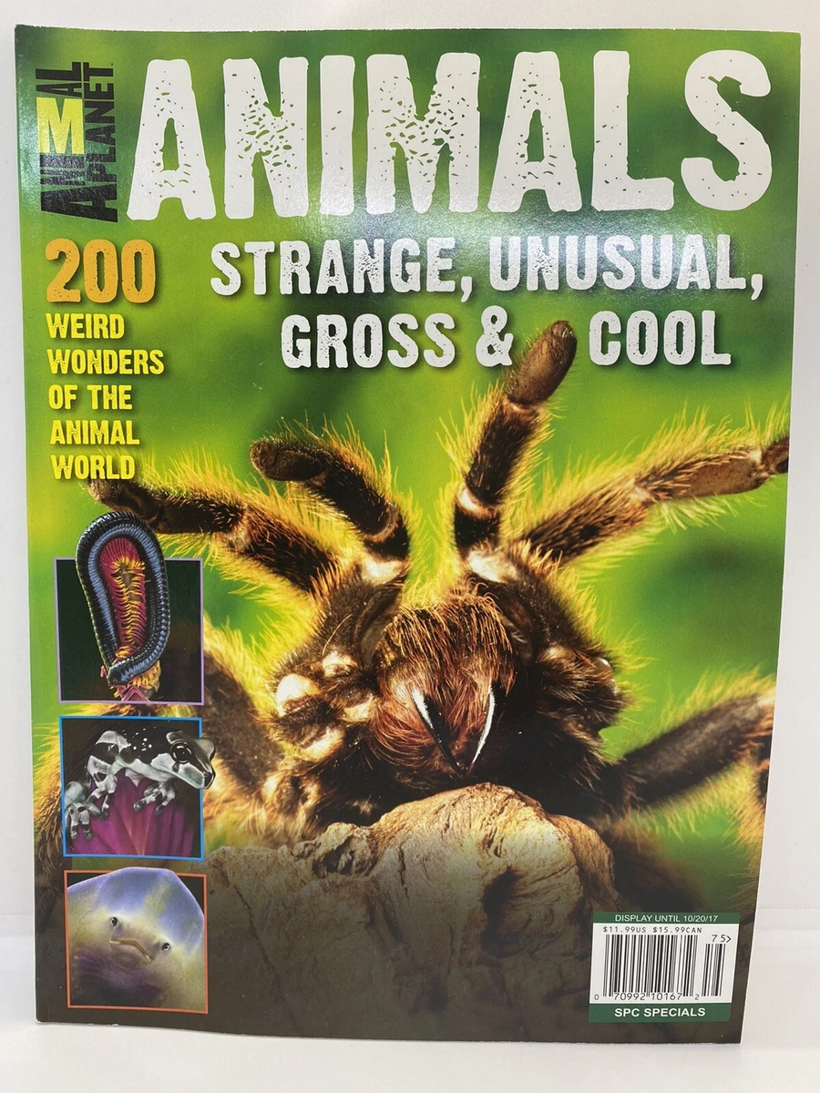 Gross Pictures Of Animals