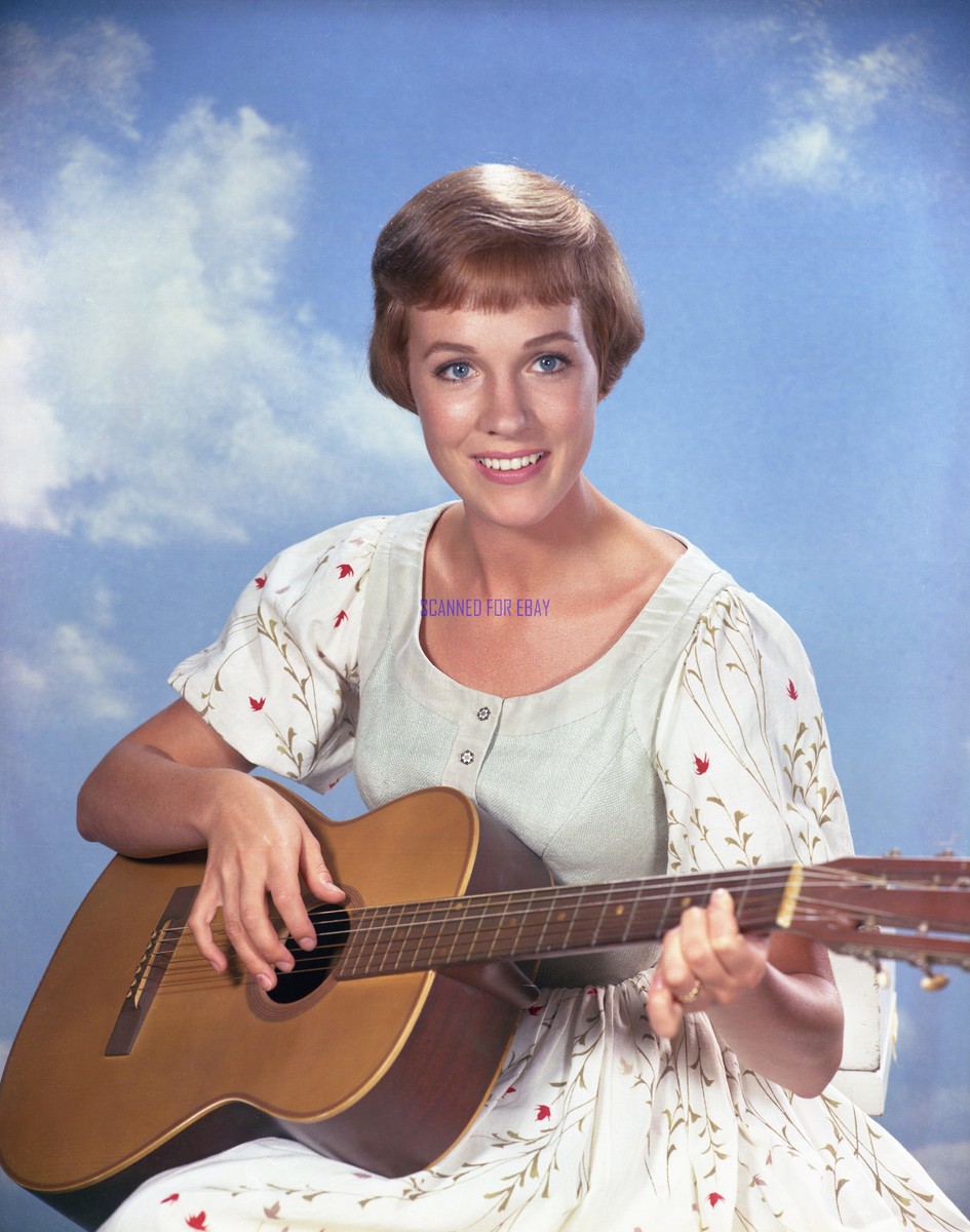 Julie Andrews Maria Von Trapp The Sound Of Music (1965) Capt. Von