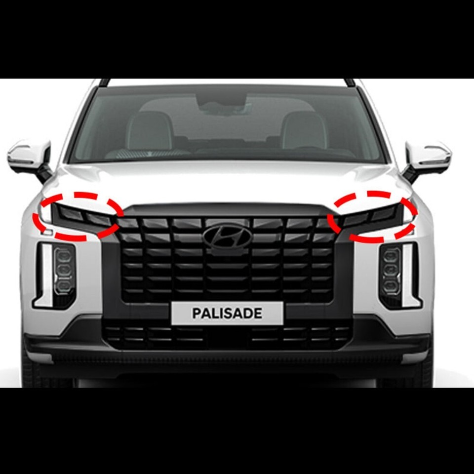 GENUINE PARTS LAMP ASSY-DAY RUNNING LIGHT, LH, RH FOR HYUNDAI PALISADE ...