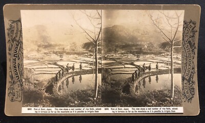 GEORGE ROSE STEREOVIEW CARD - 6043 View Of Oami Japan | eBay